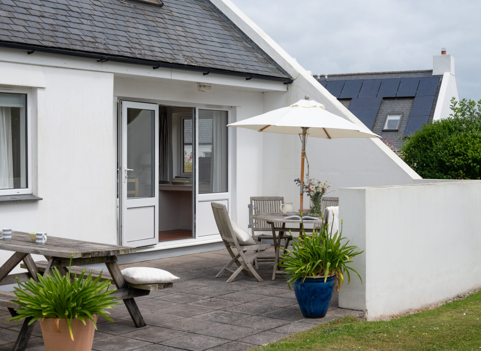 Cowrie - Highcliffe Cornwall