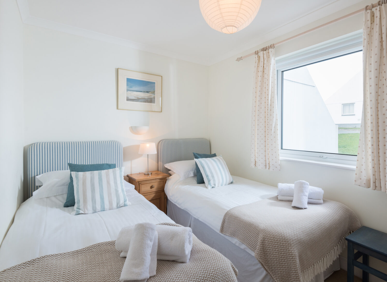 Cowrie - Highcliffe Cornwall